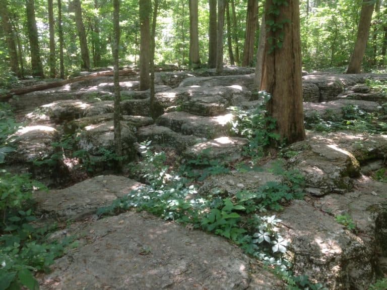 Stones River National Battlefield
